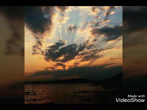 Salkımsöğüt / Nazım Hikmet