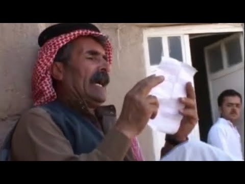 Bave tayar بافي طيار gulokê ma ne bese kısa komik sahneler 🤣🤣🤣