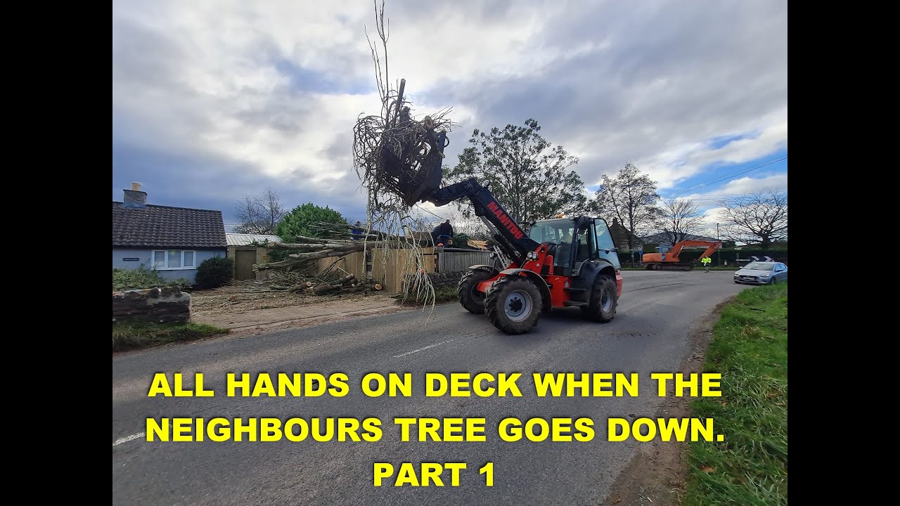 ALL HANDS ON DECK TO MOVE THE FALLEN TREE .PART 1 - YouTube