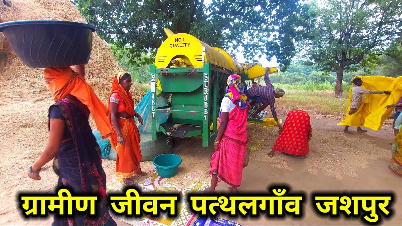 Pathalgaon 🌾Village Farmar🌾 ग्रामीण जीवन 🌾/Jashpur Pathalgaon ...