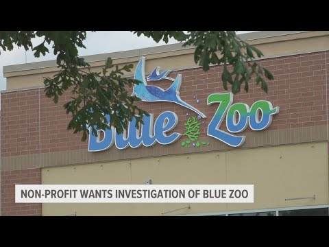 Blue Zoo Aquarium in West Des Moines euthanizes shark that bit staff ...