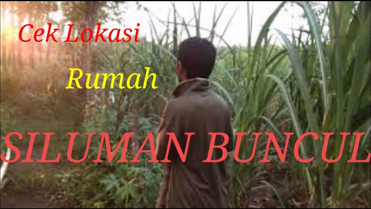 Cek Lokasi Rumah Buncul - Siluman Buncul - Mengungkap Misteri MM - YouTube