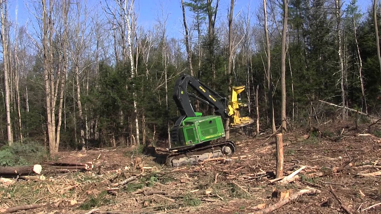 Deere 753J Feller Buncher Cutting Trees - YouTube