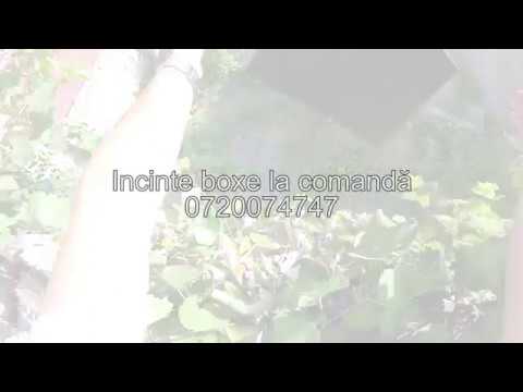 Testing the speaker enclosure Beyma 8mi100 + Beyma CD10FE + TD194 HORN ...