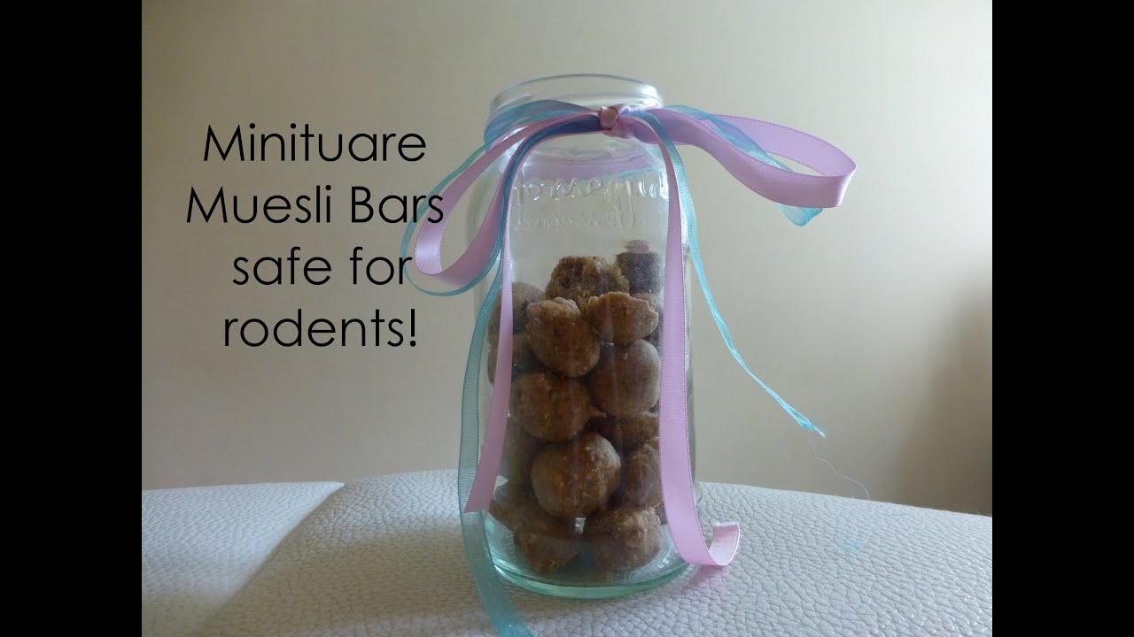 Cooking critters #1 Minituare muesli bars- Rodent treats! - YouTube