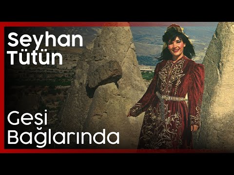Seyhan Tütün - Gesi Bağlarında