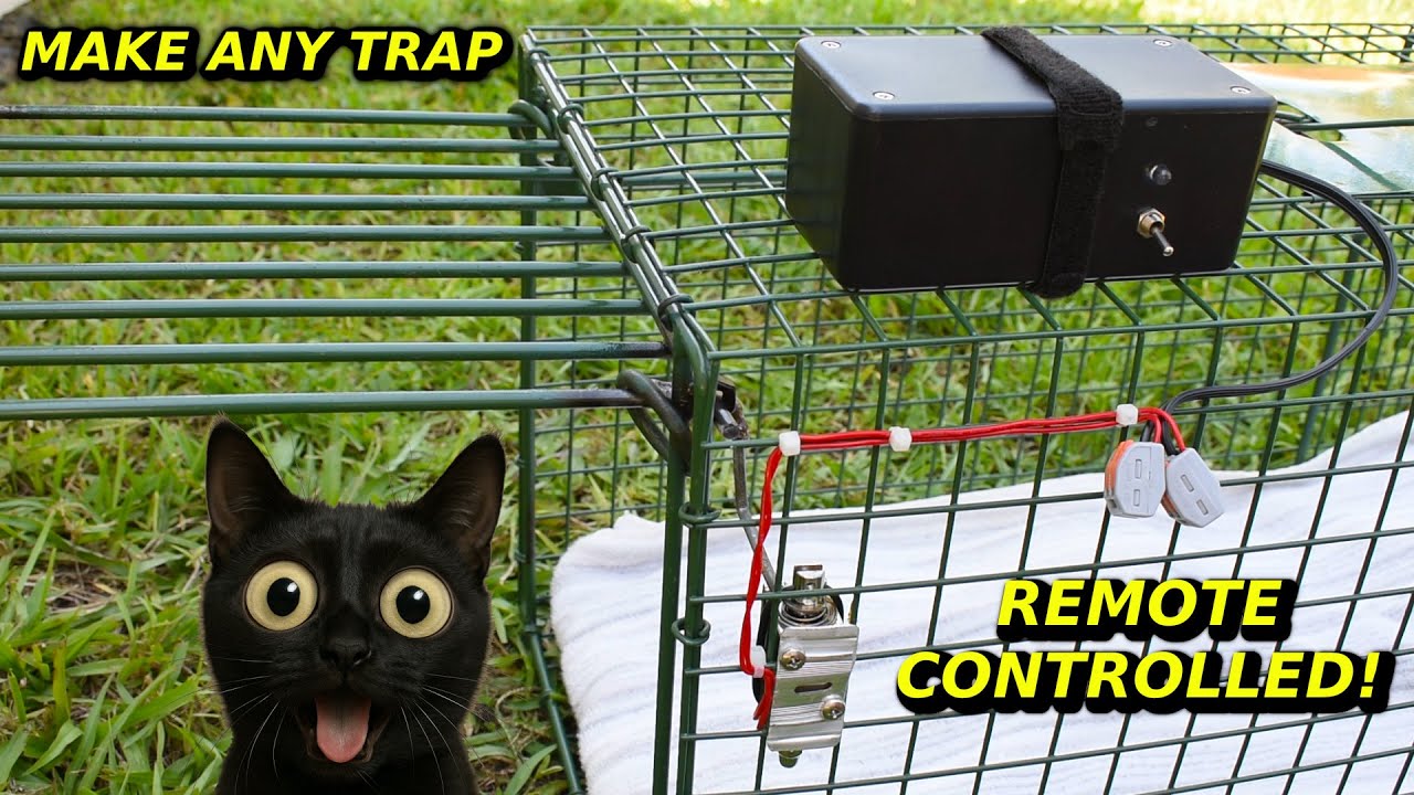 DIY Remote Control Triggered Animal Trap ~ Cat & Kitten TNR - YouTube