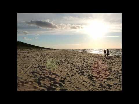 A&M "Trumpet lights" (AMI cover) - YouTube