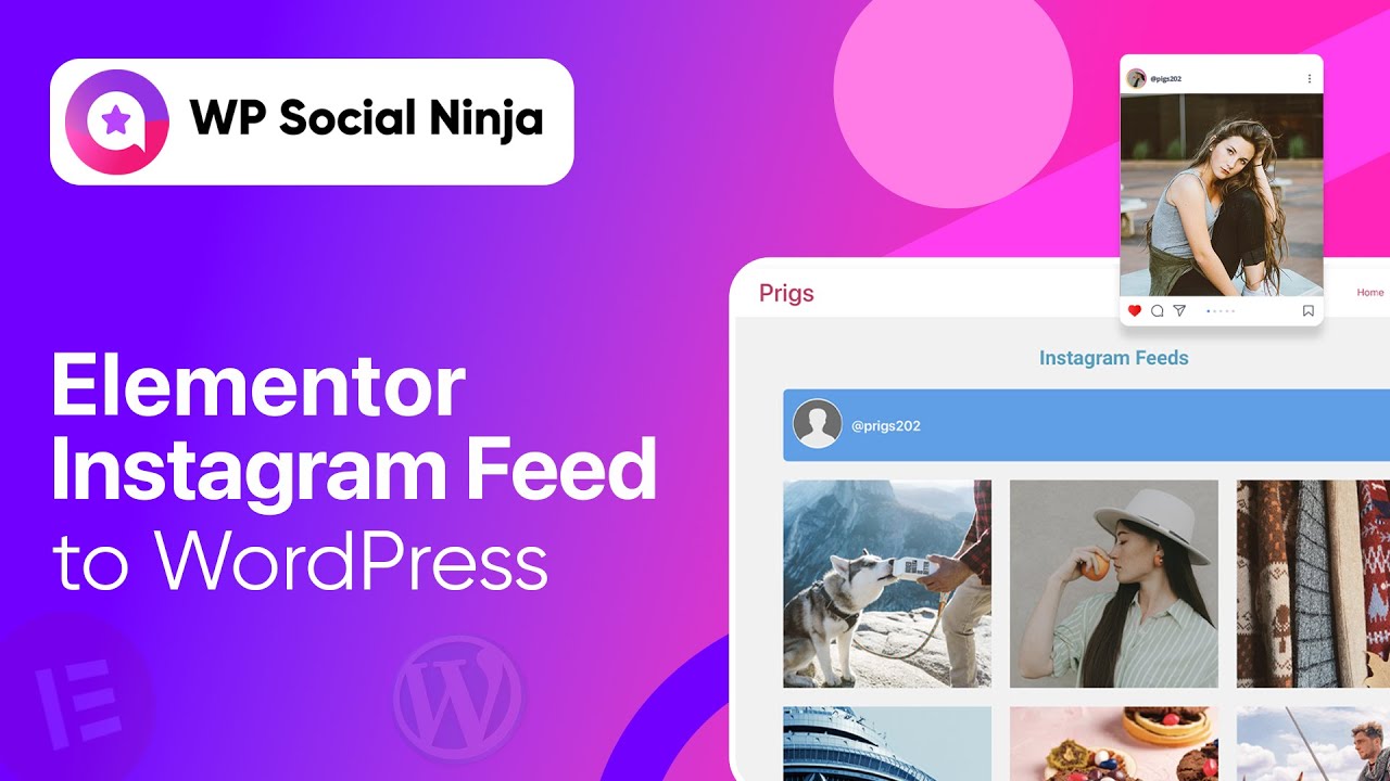 How to Add Instagram Feed With Elementor On Your WordPress Website ...