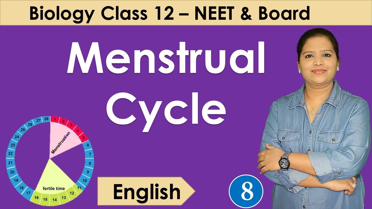 Menstrual Cycle and its Hormonal Control (NCERT Class 12 Biology) - YouTube