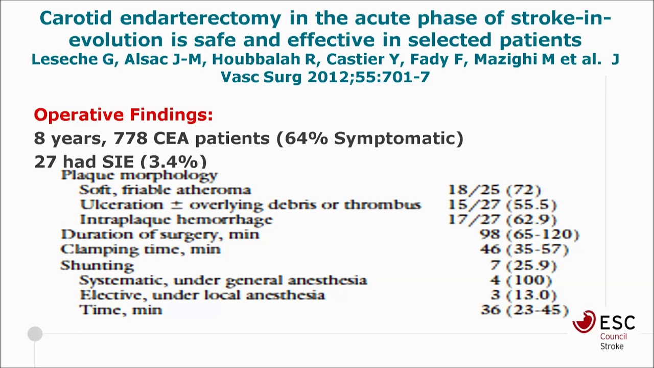 Stroke in evolution and carotid stenosis – Management and priorities ...
