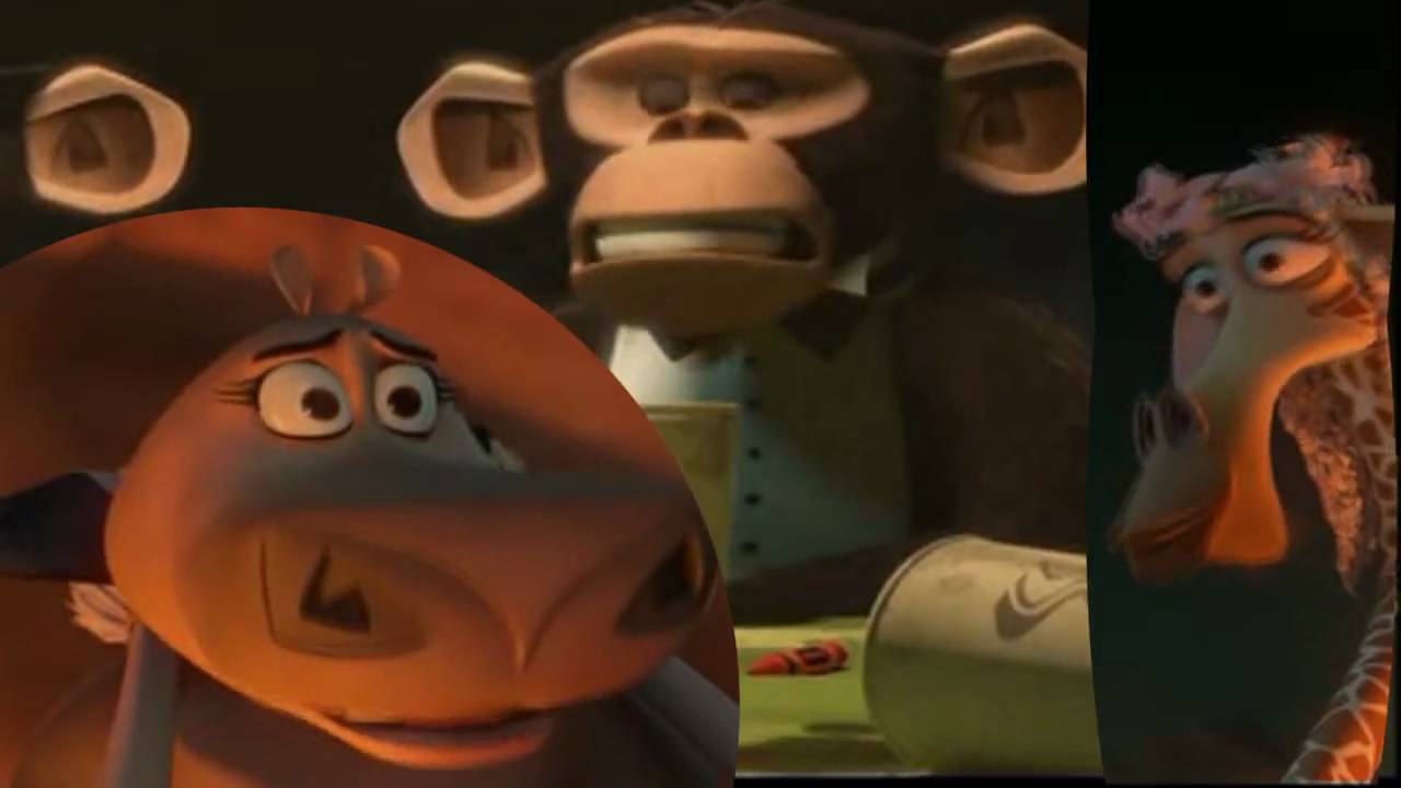 Madagascar: Mysterious Ticking Noise - YouTube