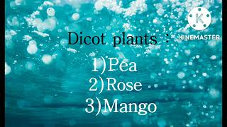 Monocot and dicot plants examples by gain knowledge from maryam like and subscribe to my channel 😊😊😊
