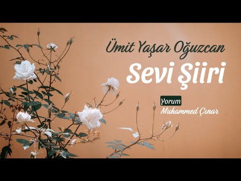Sevi Şiiri | Ümit Yaşar Oğuzcan