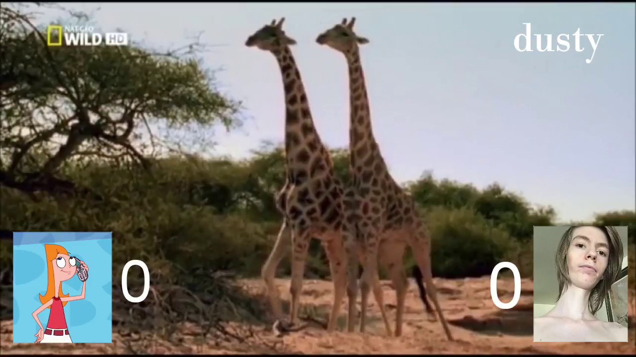 damn long neck vs. candace - YouTube