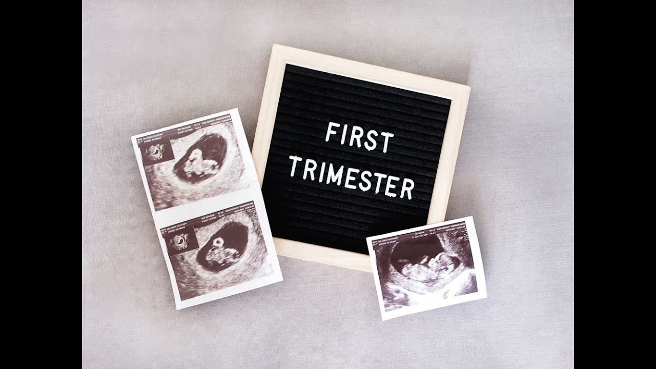 Your First Trimester Journey: The first 3 months of pregnancy - YouTube