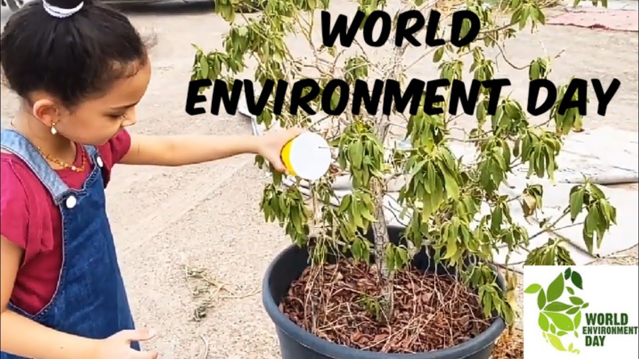 World Environmental Day 2020 Special | What is World Environmental Day ...