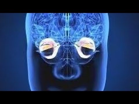 Eye Healing Frequency: Restore Eye Vision, Improve Blurred Vision 🎶 ...