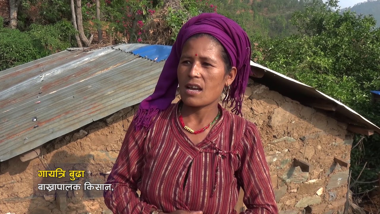 HVAP Project Documentary for Presentation - YouTube