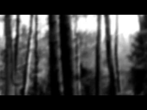 Illicit Work - dbdbddd (Trailer) - YouTube