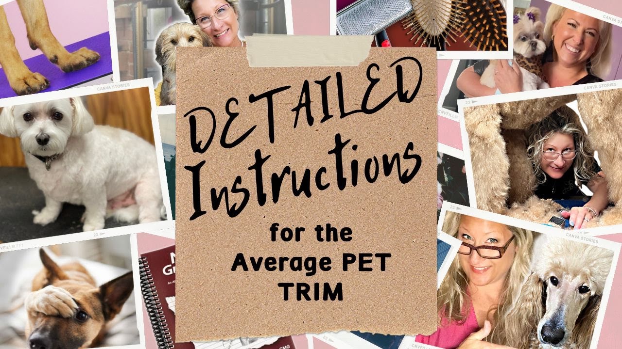 #28 Detailed instructions for the average pet trim - YouTube