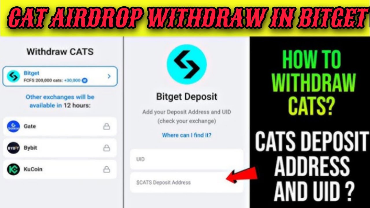 How to connect bitget wallet with CAT | Step by Step Guide - YouTube