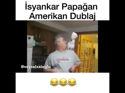 Ateist papağan 2