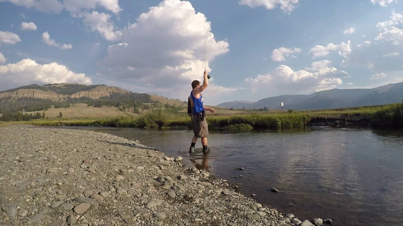 Cutty Vibes - YouTube