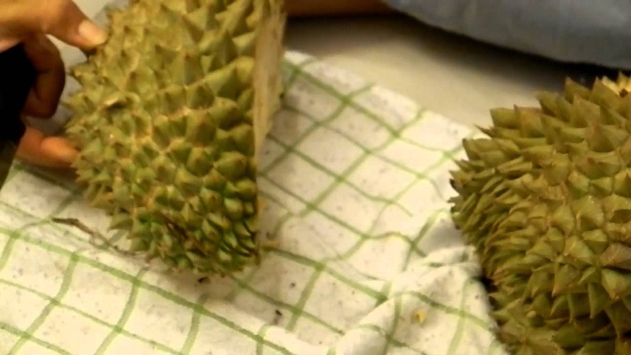 How to carve your Durian by Rai Nay Bu - YouTube