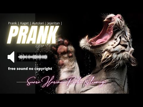 Hati-Hati!! Ada Harimau Prabu Siliwangi... | Prank | Auman | Macan | Maung Bodas | Angker |