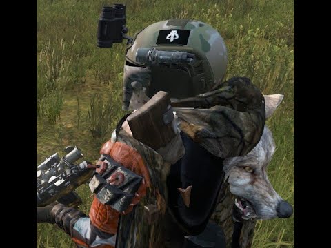 DayZ Night hunt with Shadow - YouTube