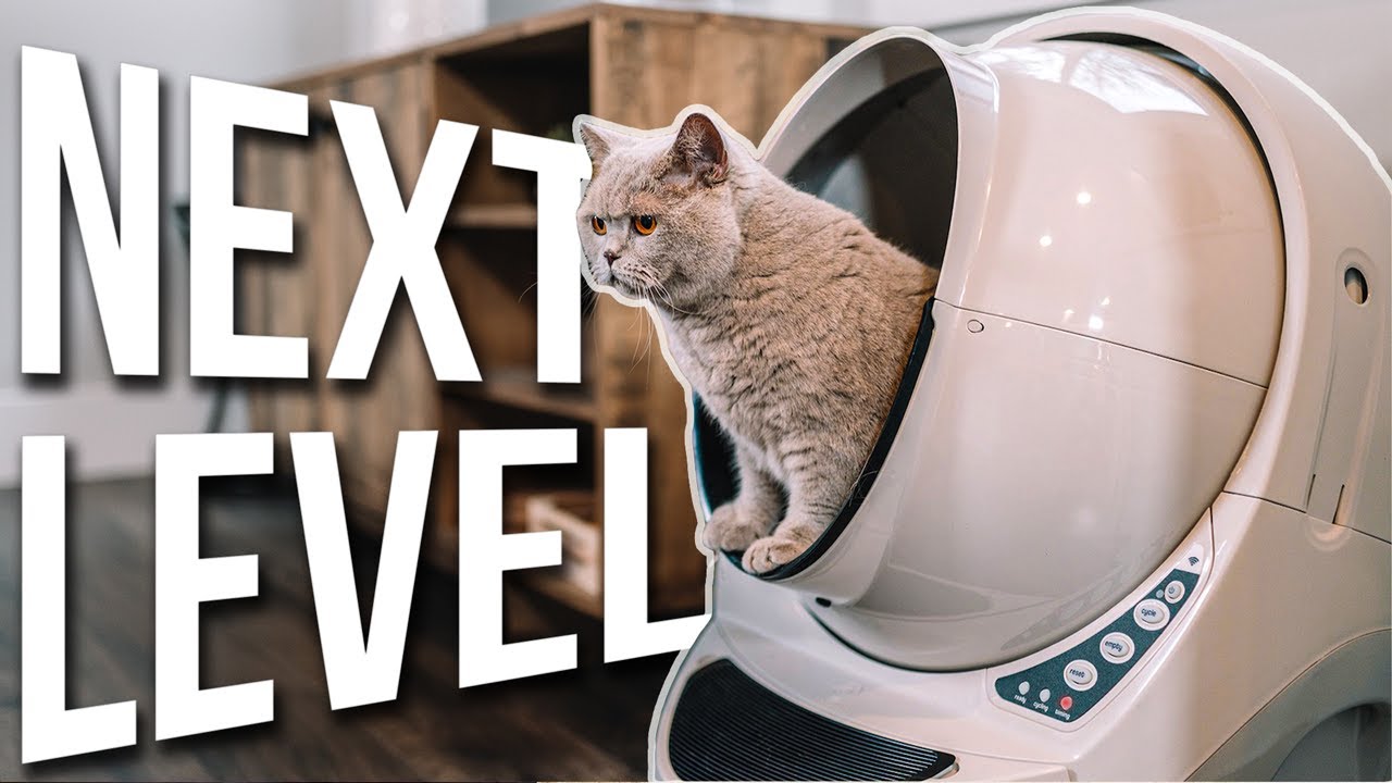 7 Next-Level Pet Gadgets That Will Surprise You - YouTube