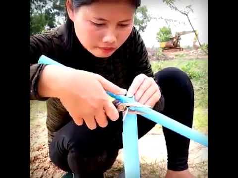 en etkili kuş yakalama tekniği
