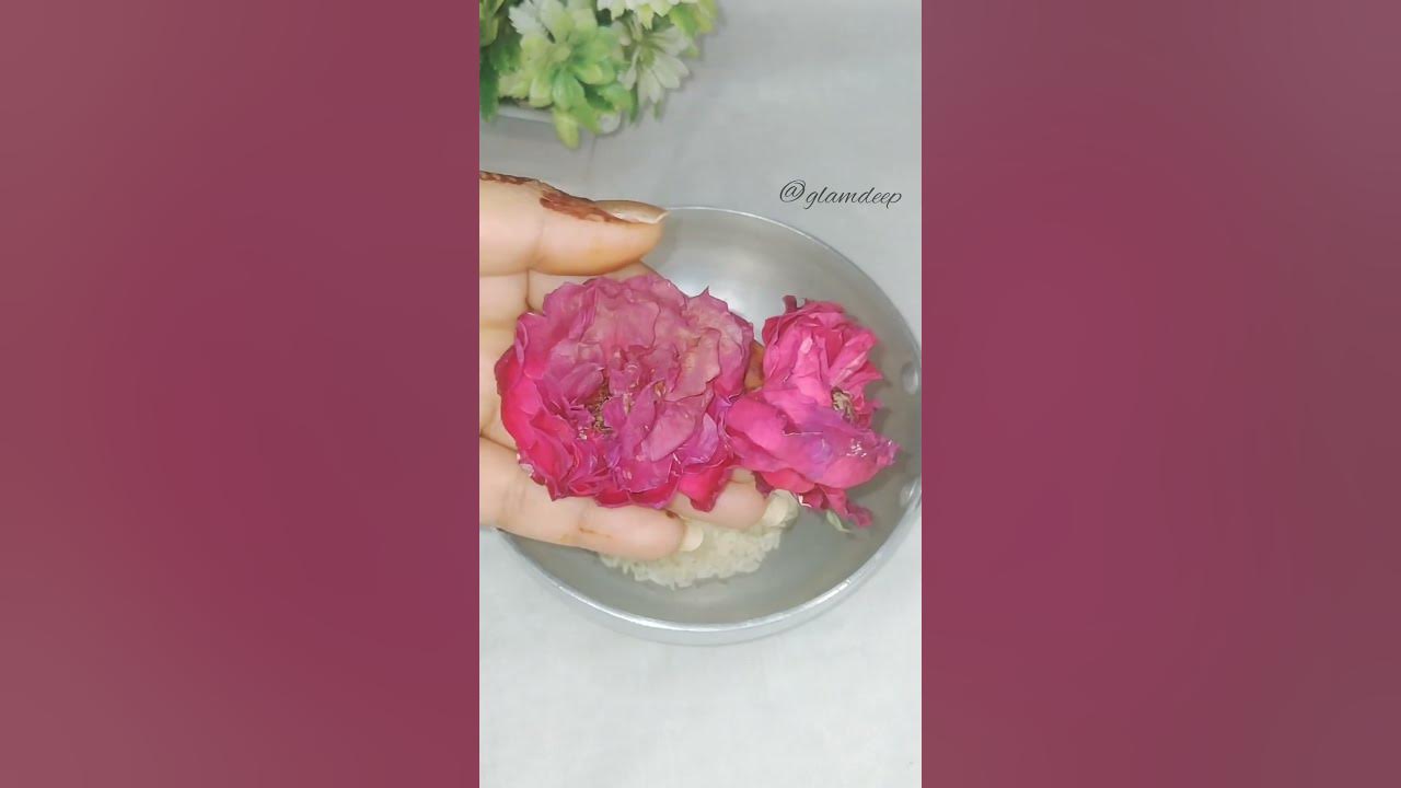 🔥best Way To Stop Hair Fall Naturally 💯 Diy Hair Growth Toner Hair