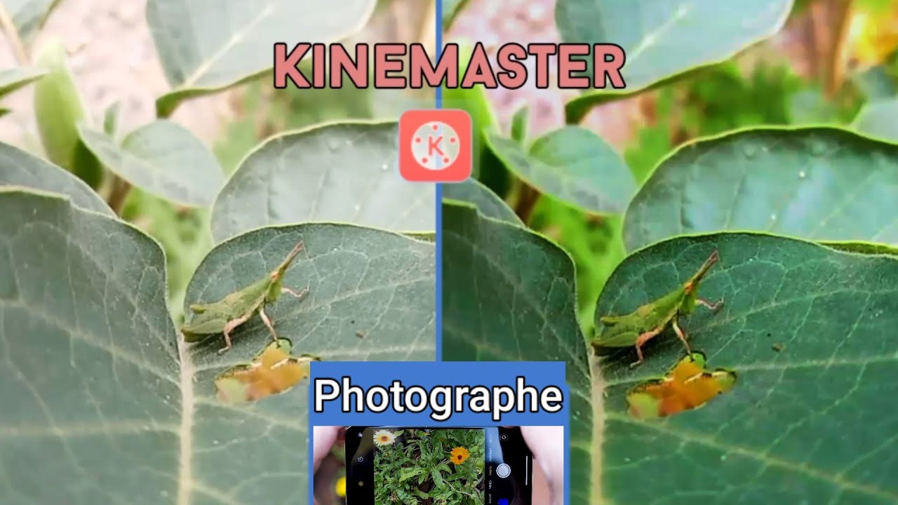KineMaster color grading editing|Main editing for photography - YouTube