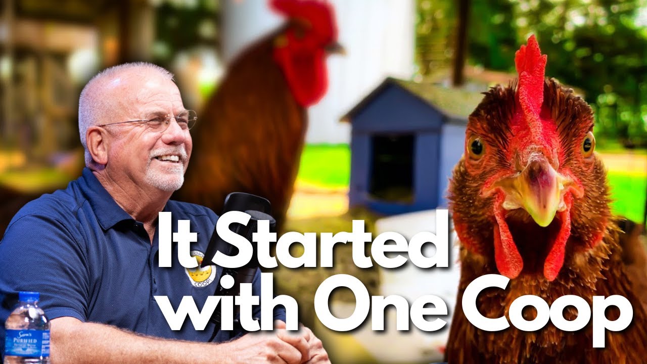 Ep.78 This Chicken Coop Changed His Entire Life - Eric Hammons - YouTube