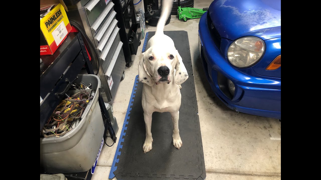 Pro Flow 4 Installation Part 3 - Headers and Fuel Line Installation ...