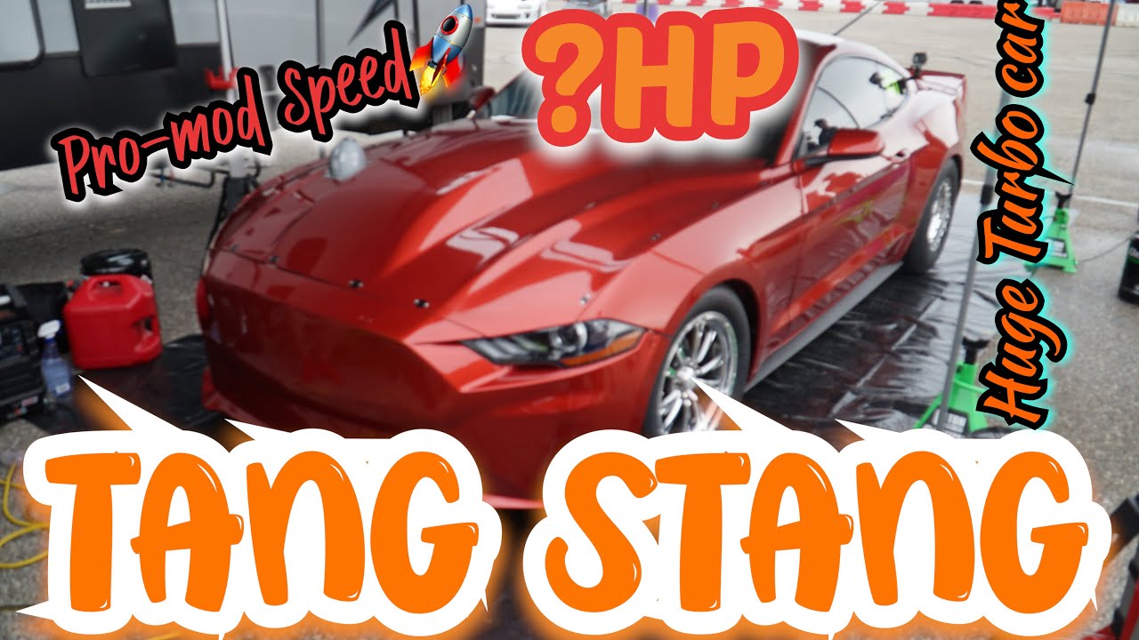 “Tang Stang”| FIRST EVER Pro-Mod Street Car⁉️| BIG TURBO S550 Mustang ...