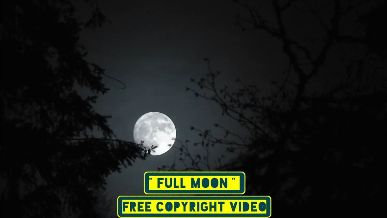 Full Moon Free copyright Video | Royalty Free Video | Free Footage ...