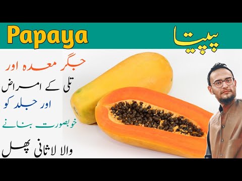 papaya پپیتا health benefits papity k fawaid Urdu Hindi matab e azam
