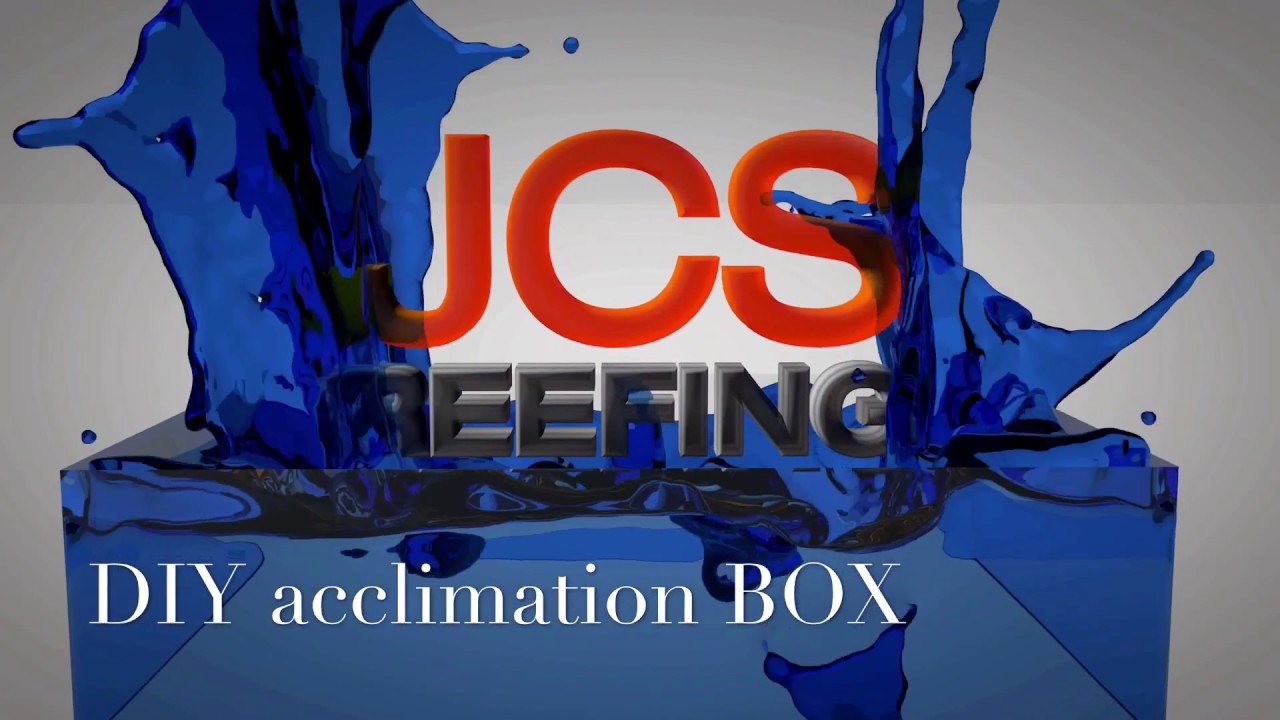 DIY Acclimation BOX - YouTube