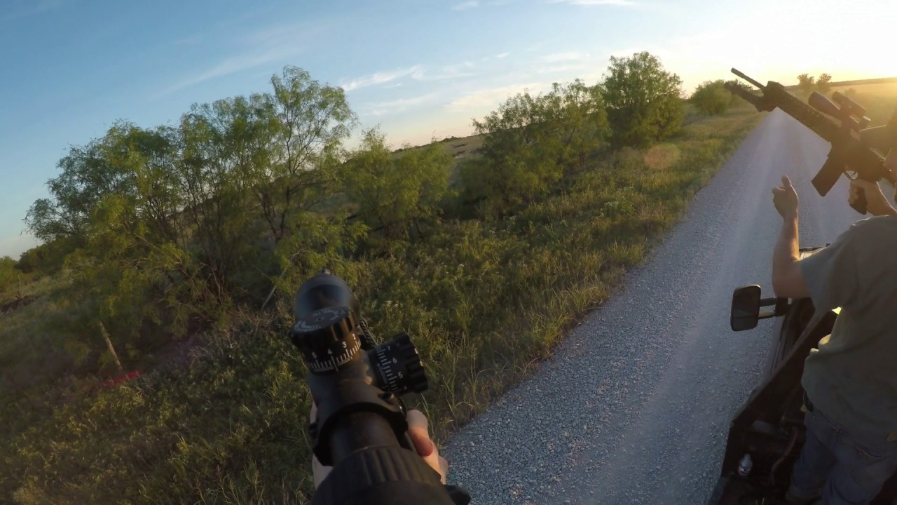 Red Dirt Night Hunt - YouTube
