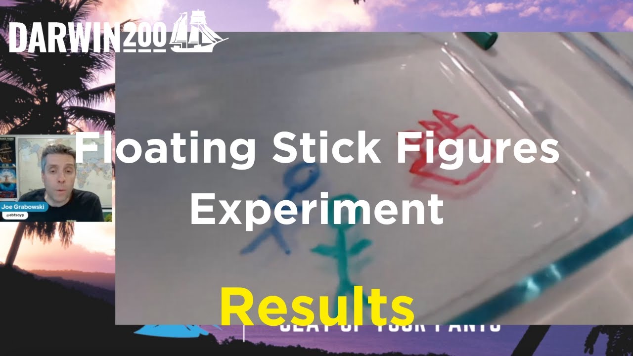 RESULTS - Floating Stick Figure Experiment (Segment from World's Most ...