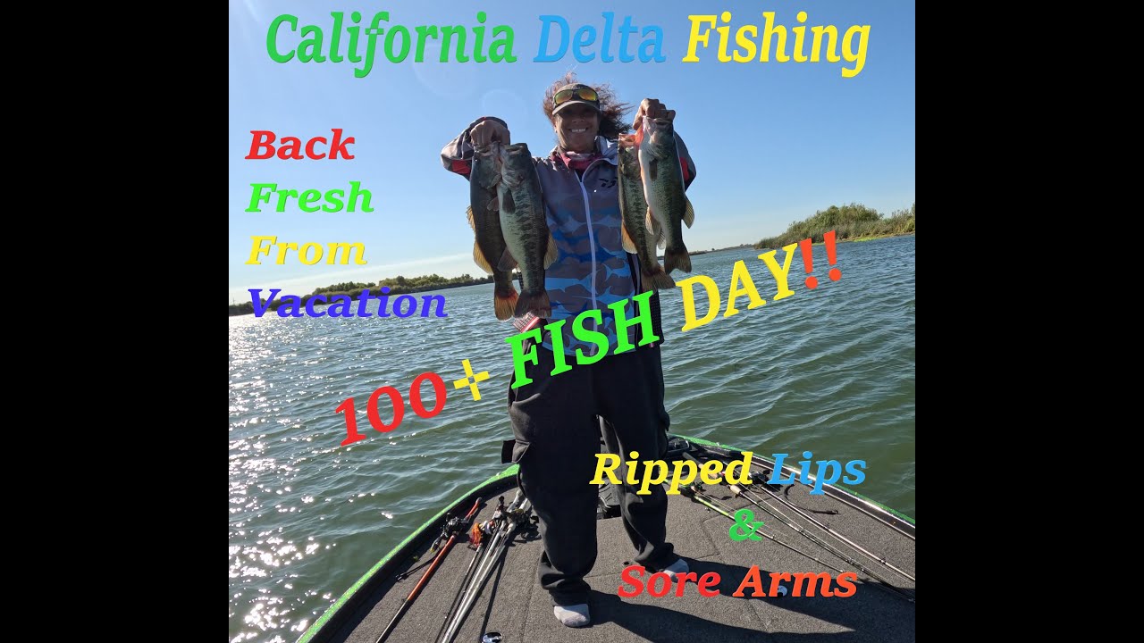 Fishing CA Delta | Fresh From Vacation - 100+ fish (Sore Arms, Frayed ...