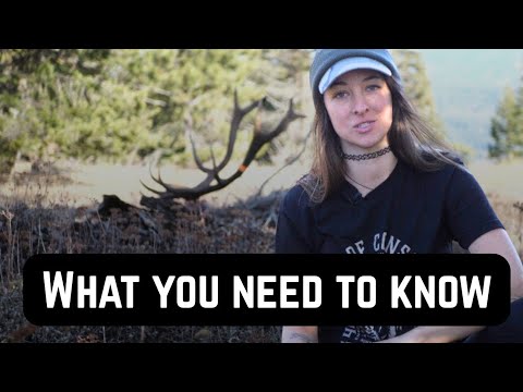 Oregon big 3 - MOUNT EMILY - Oregon rifle elk hunting - YouTube