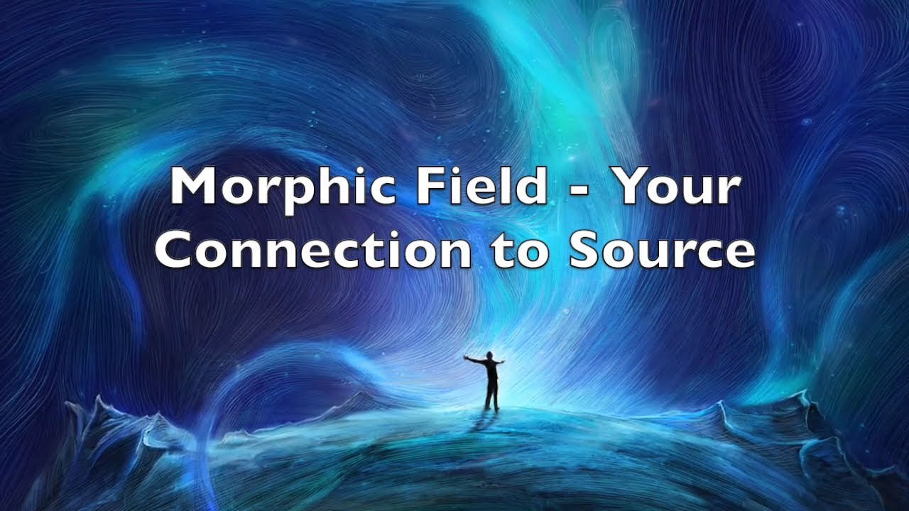 Morphic Field - YouTube