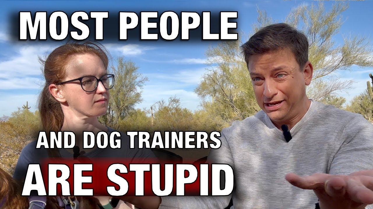 The Dunning-Kruger Curve: How Ignorance is Ruining Dog Training and ...