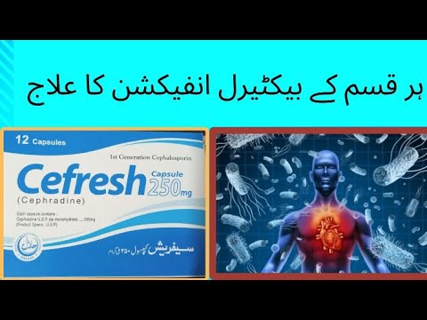 Cephradine 250mg uses in Urdu/Hindi l Cefresh tablet uses in Urdu l ...