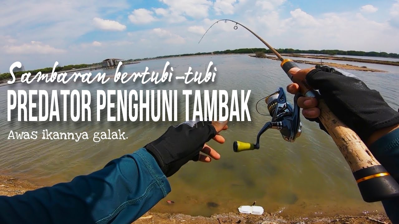 Ultralight Fishing Tambak di Bekasi | Mangrove Sungai Rindu - YouTube