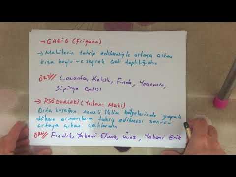 Bitki topluluklarının dağılışı ve sınıflandırlması
